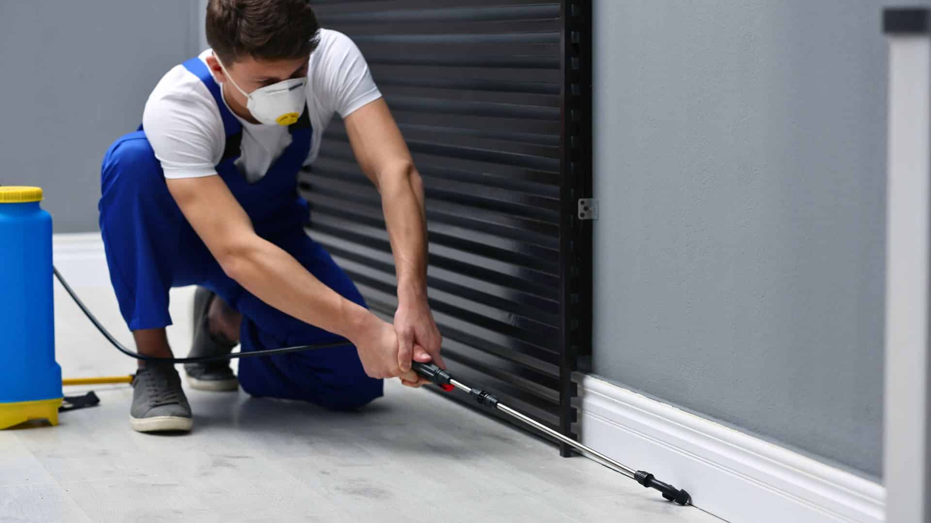 How To Deal with Pest Infestation in the Garage Top Choice Garage Doors